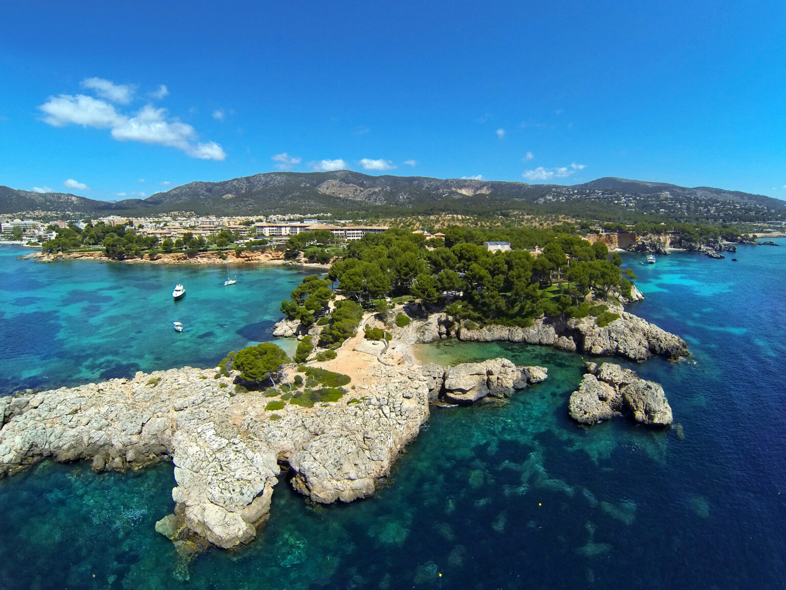 Punta Negra – Blasson : Blasson